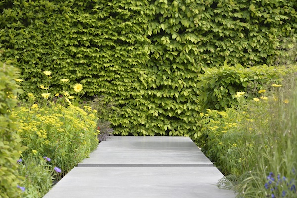 The Telegraph Garden