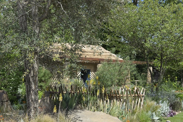 Sentebale - Hope in Vulnerability Garden