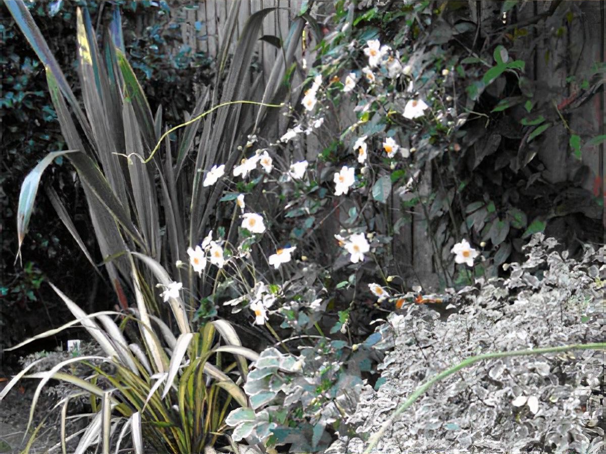 Creating the tardis garden