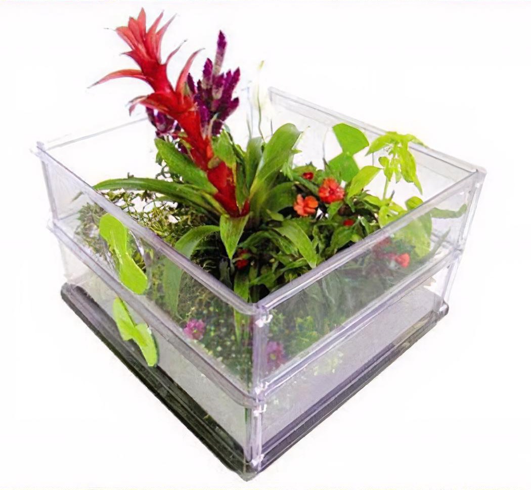 Greenhouse sensations - propagator