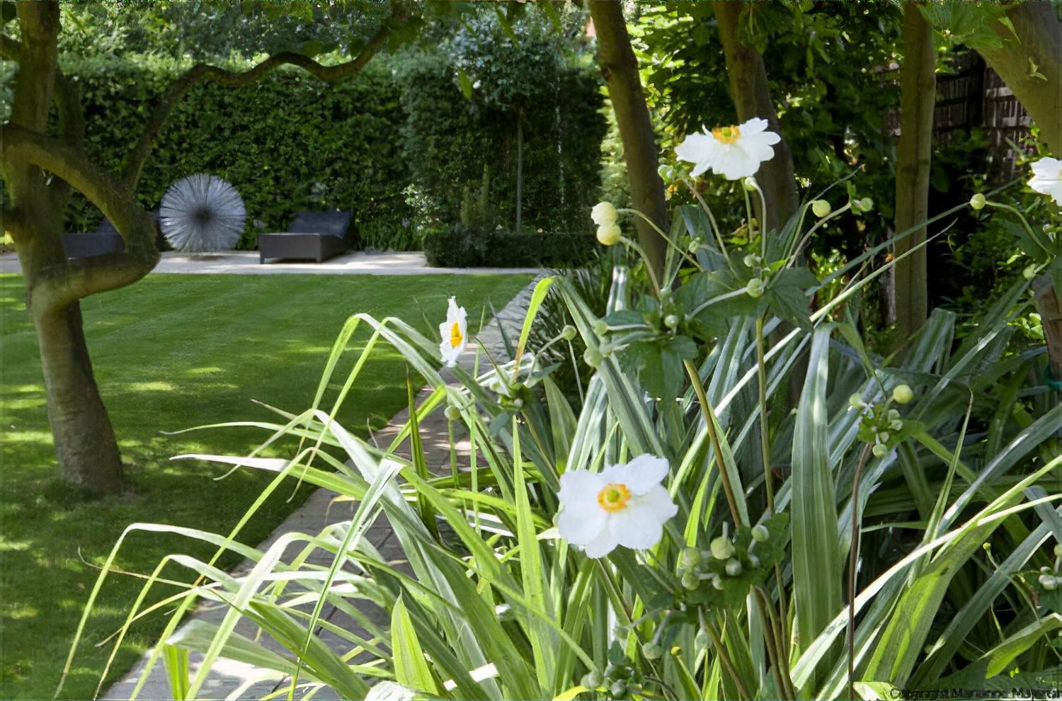A calm garden for a london family