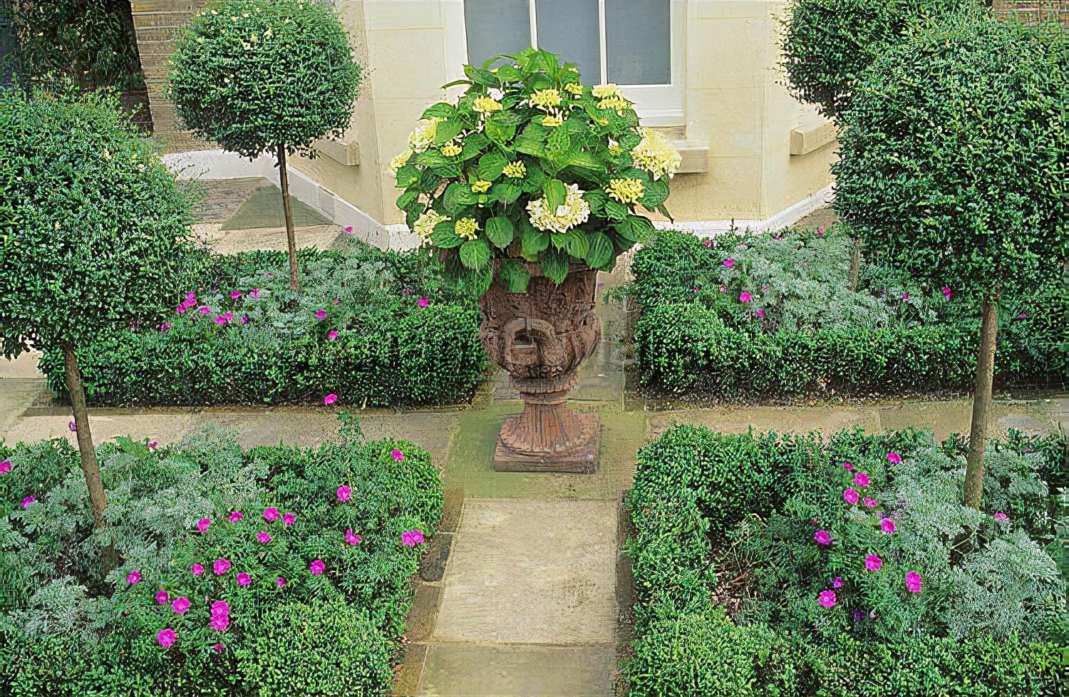 Parterre charlotte rowe