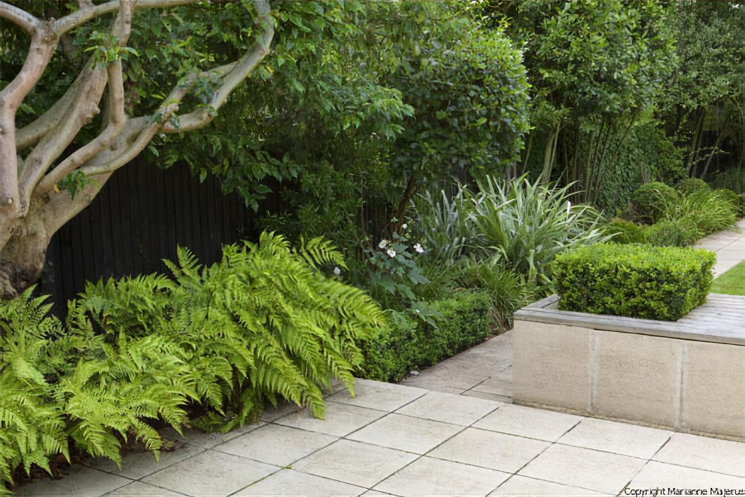 A calm garden for a london family