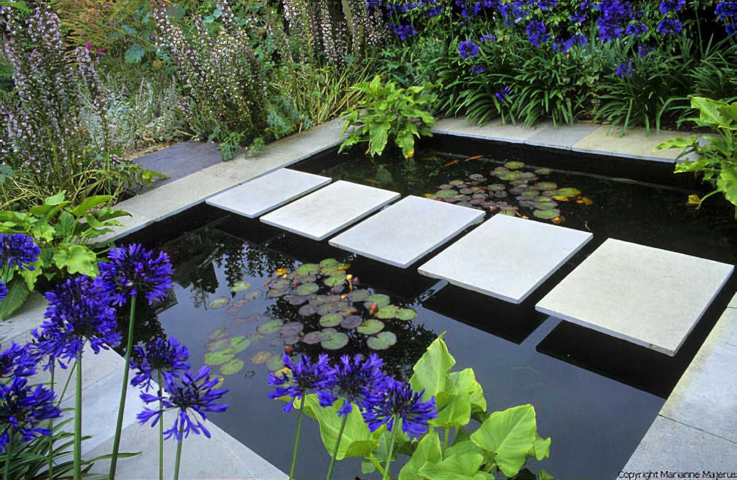 A long narrow town garden