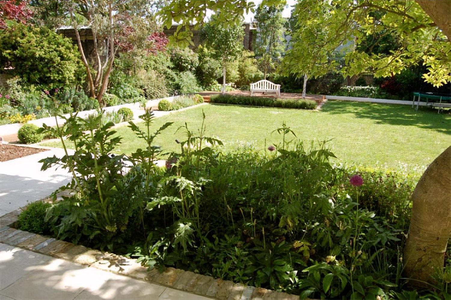 Family garden for fun and entertaining