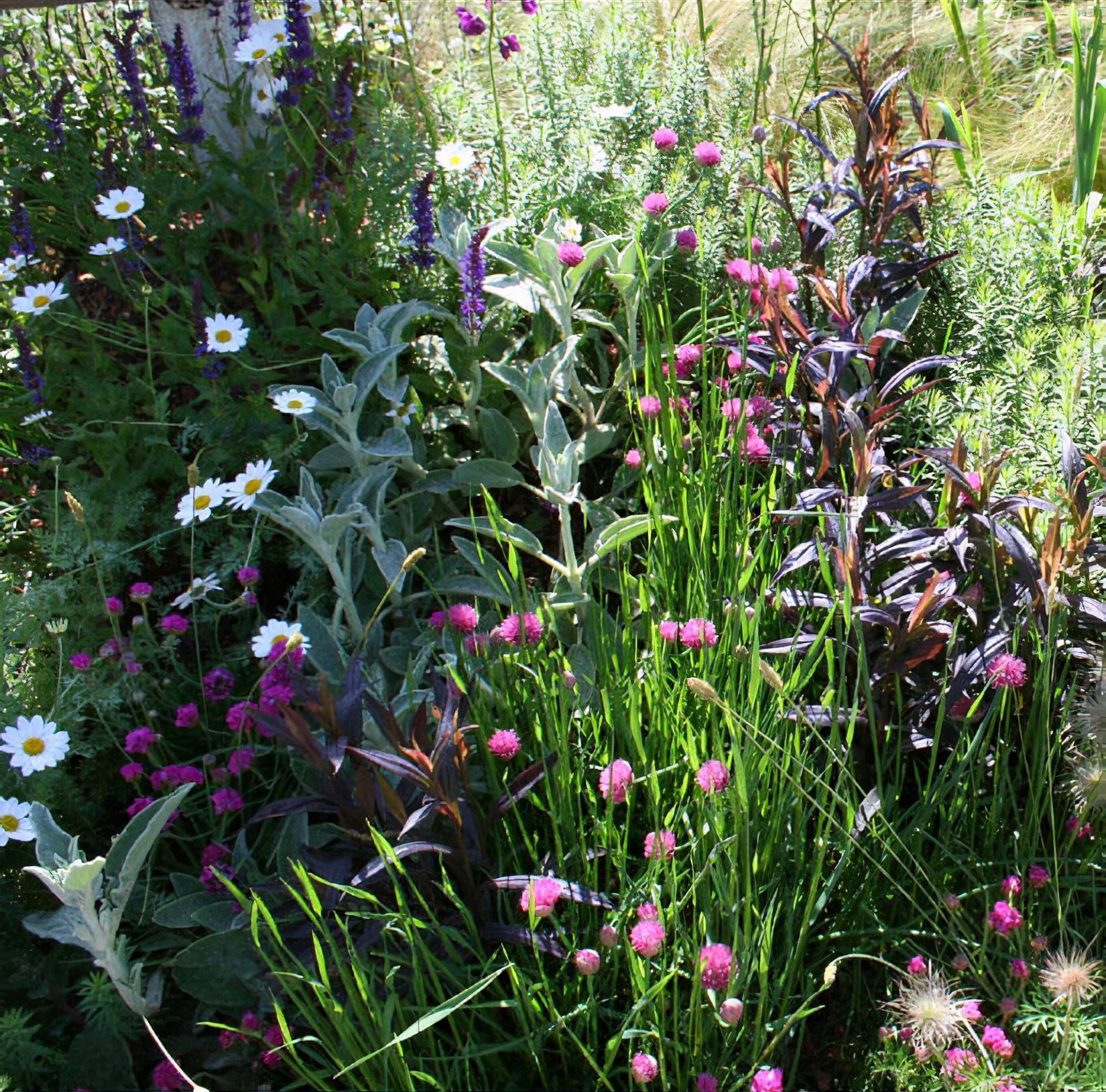 Future nature - chelsea flower show 2009