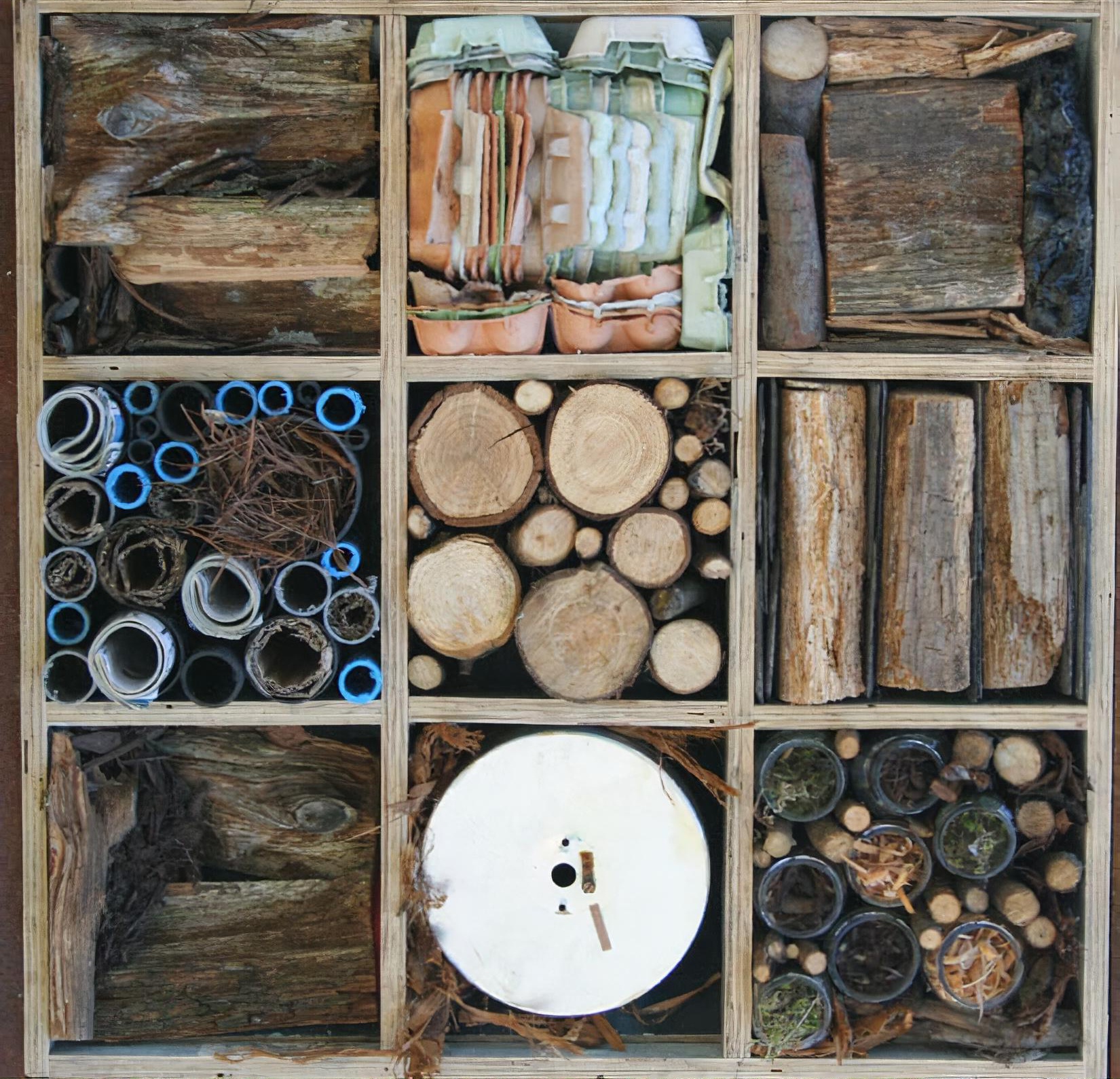 Future nature - chelsea flower show 2009