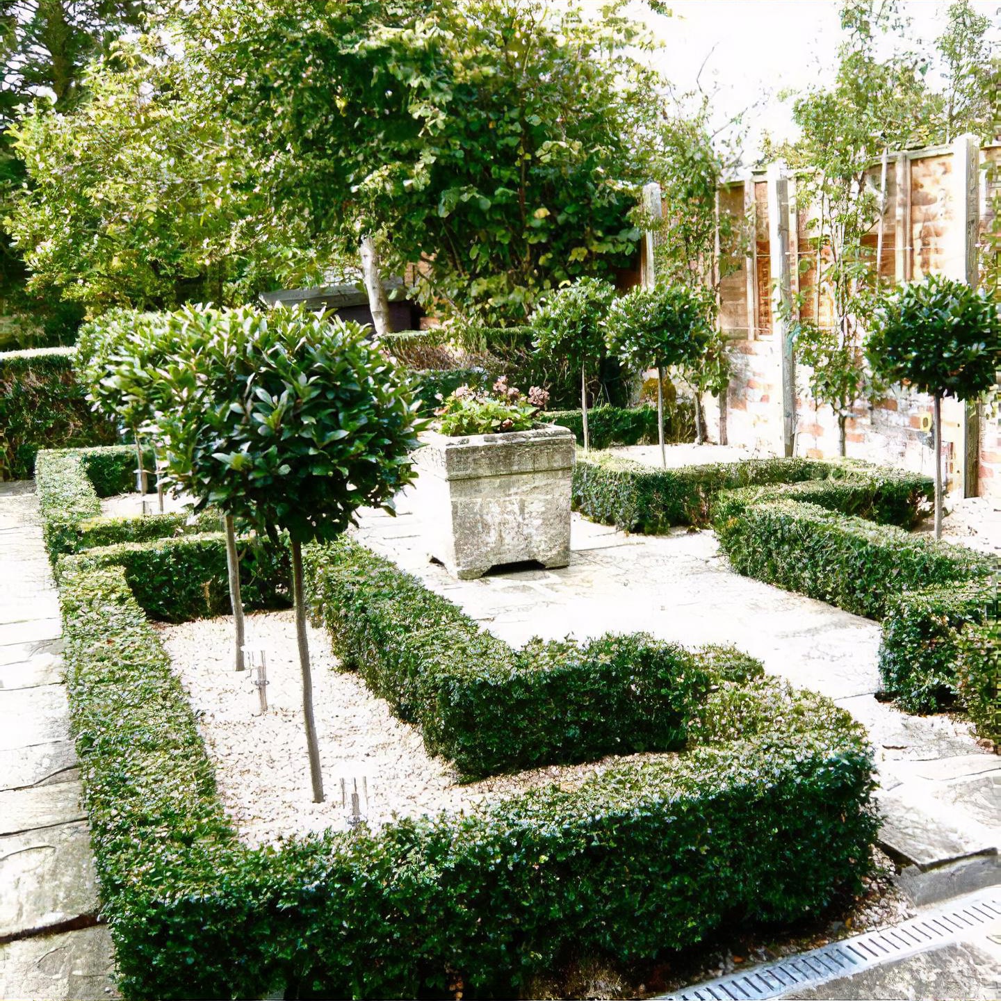 Garden restoration project