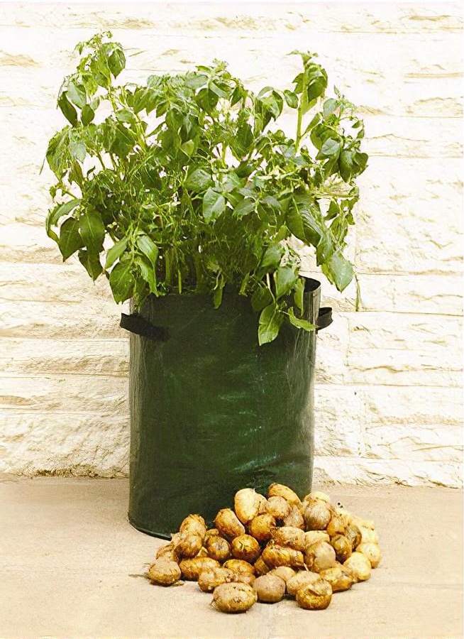 Grow bags
