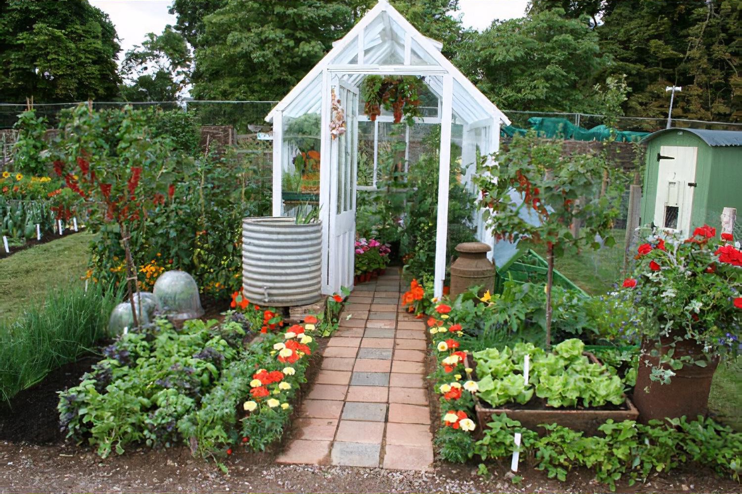 Garden Allotment Designs | Fasci Garden