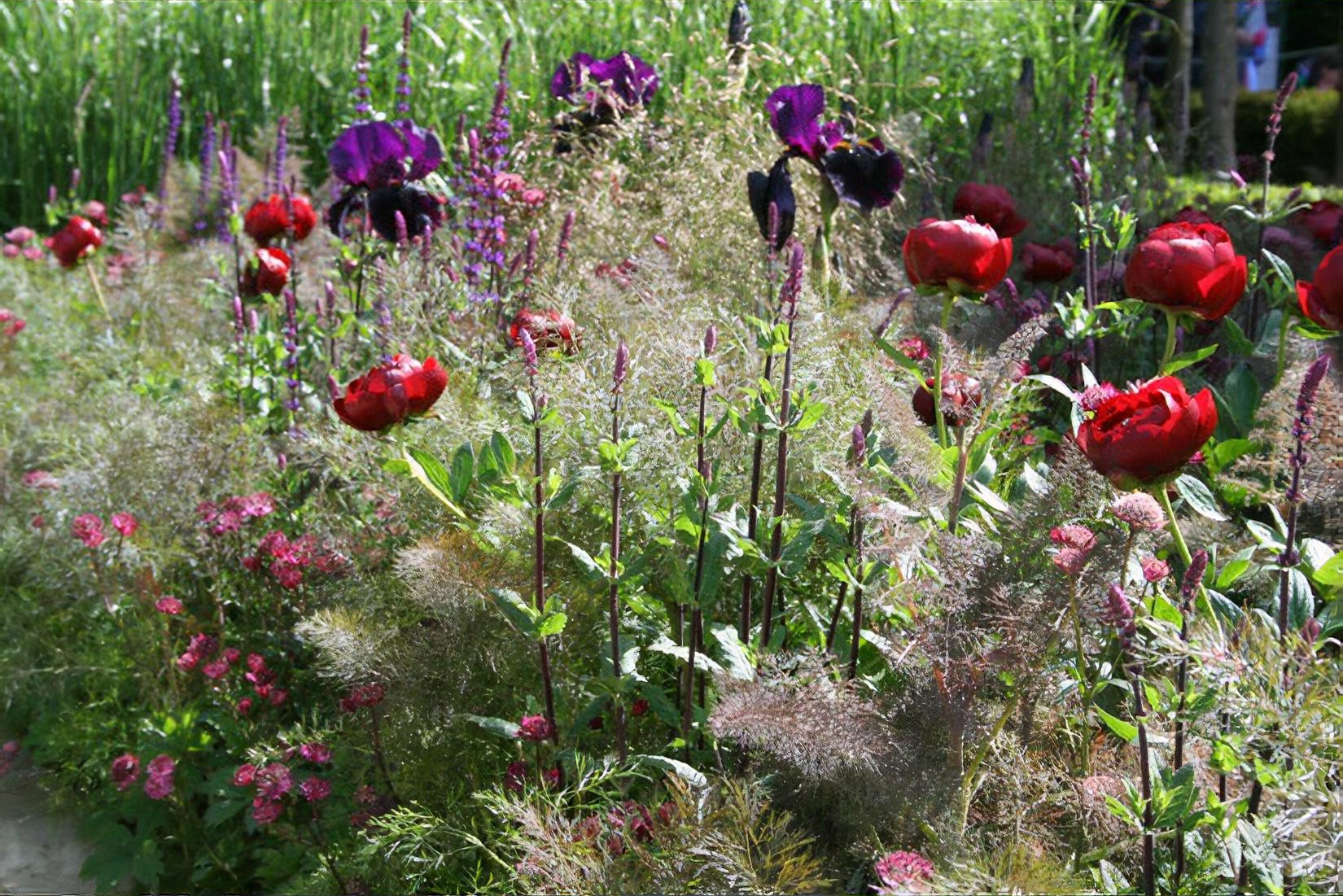 The laurent-perrier chelsea flower show 2009