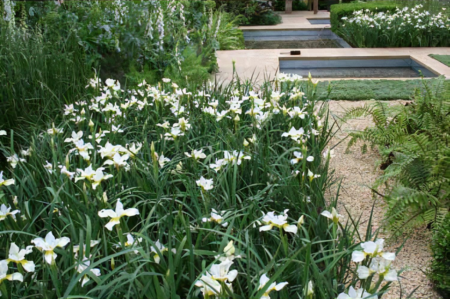 Chelsea 2008 reflective garden