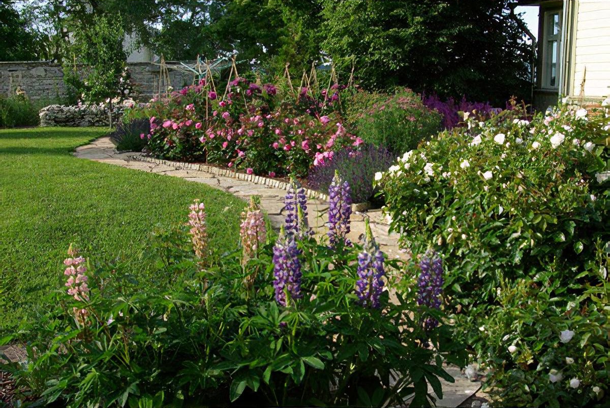 Romantic seaside rose-garden