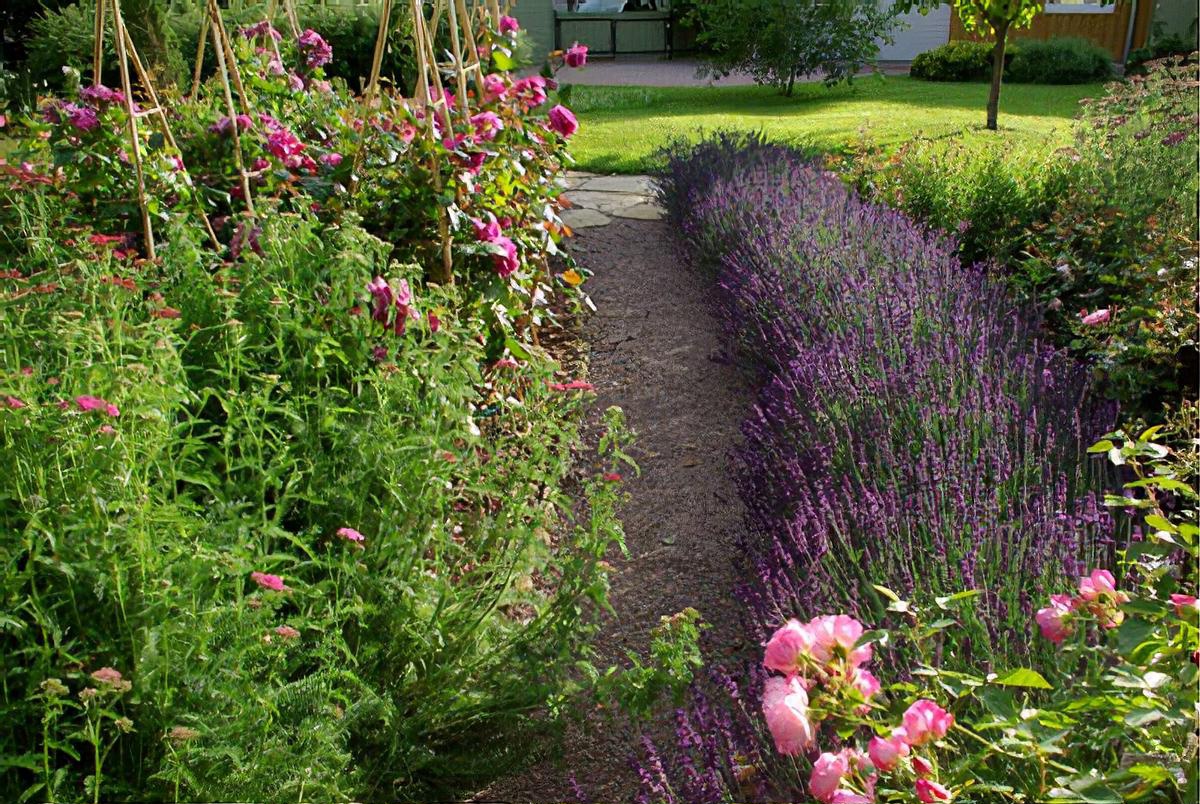Romantic seaside rose-garden