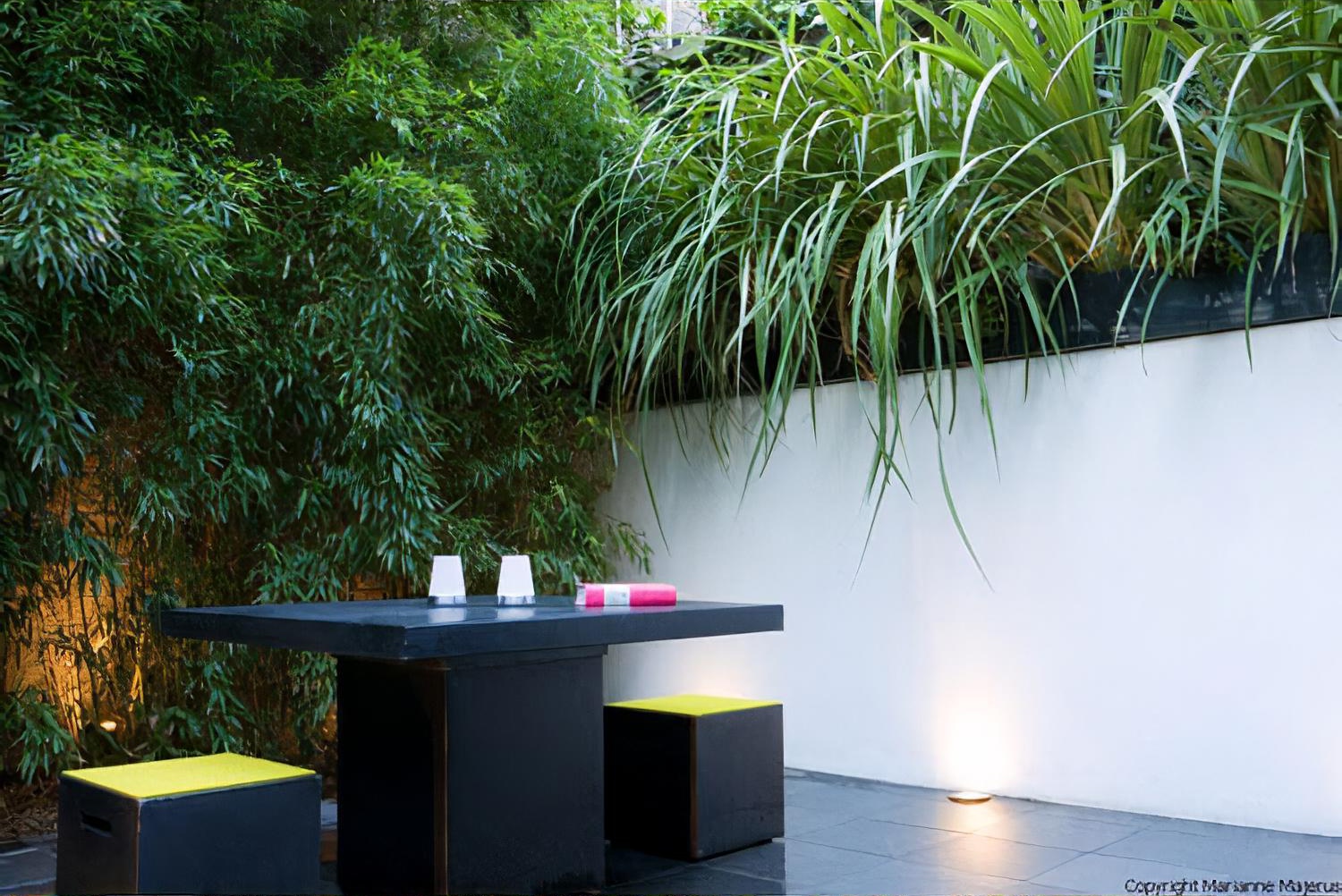 Shady city garden declan buckley