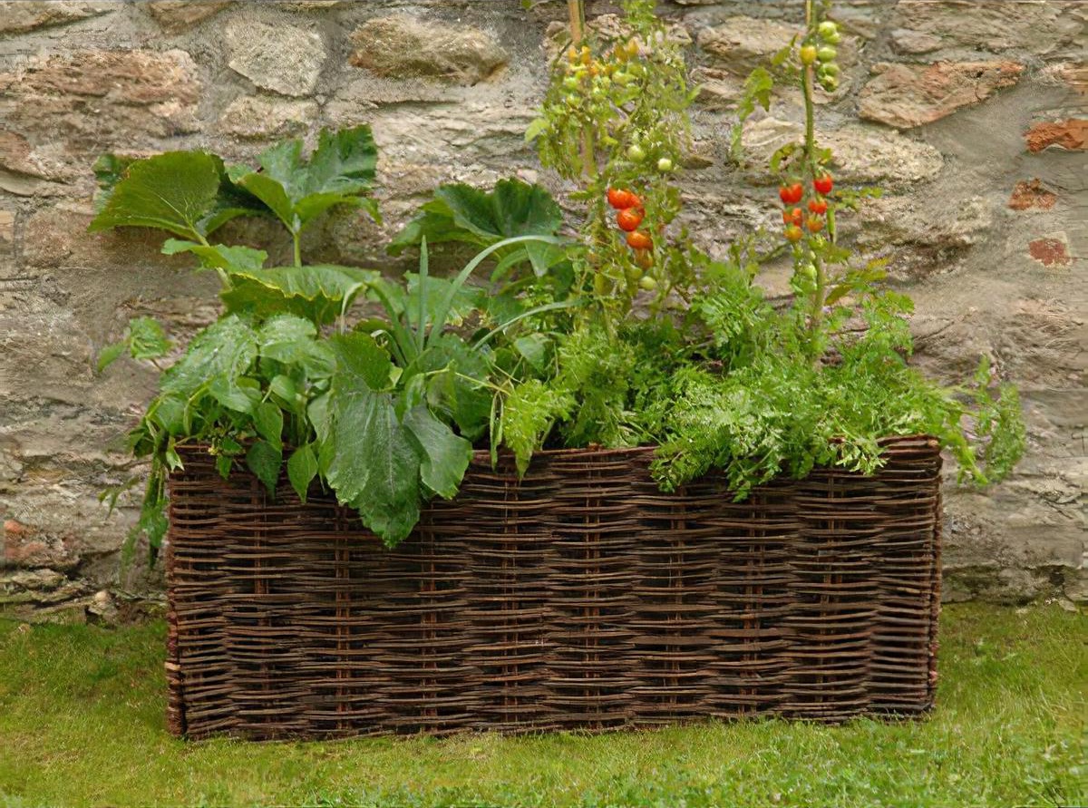Wicker vegetable planter container