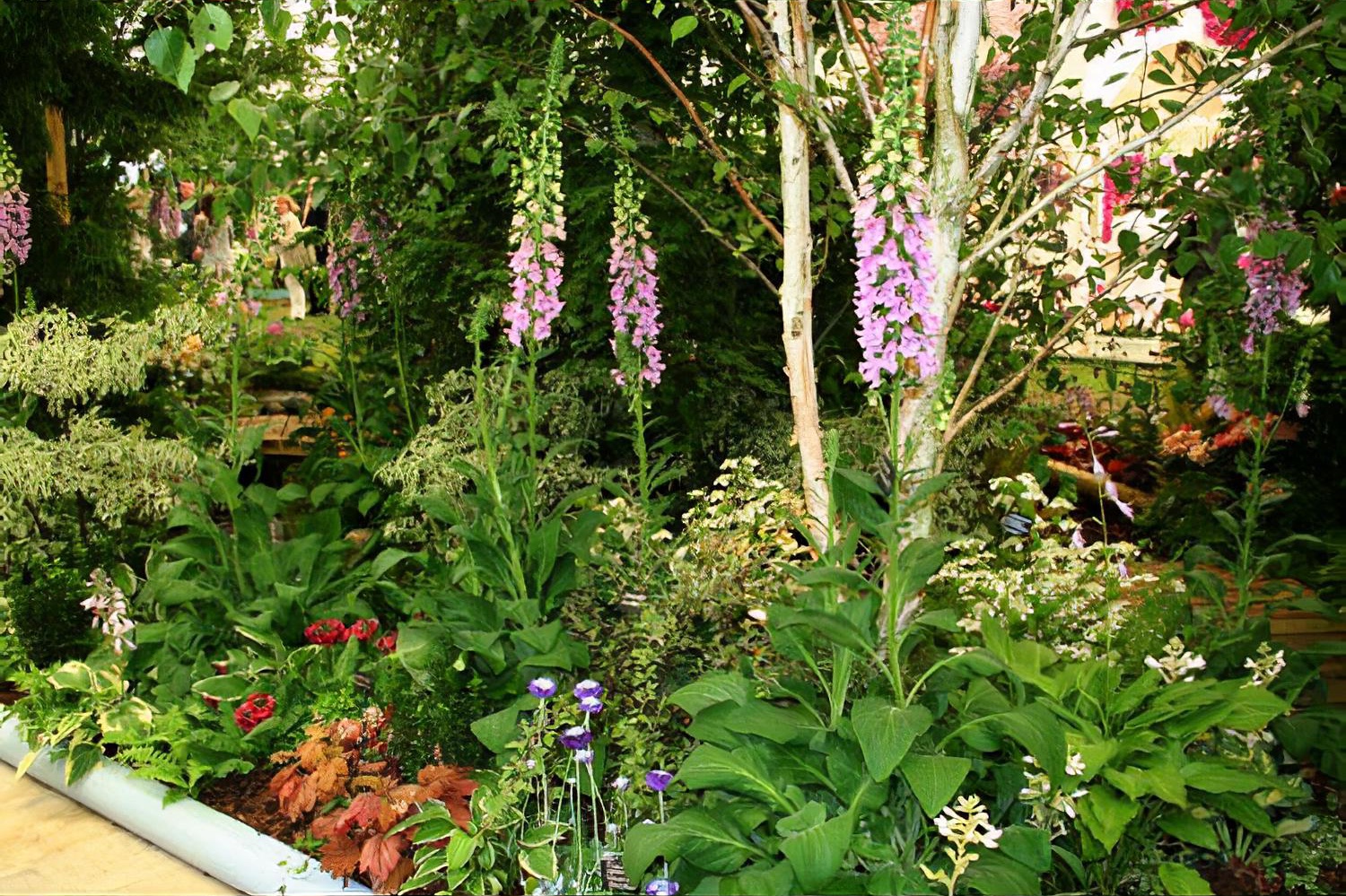 Hillier Plants List for Chelsea Flower Show 2011