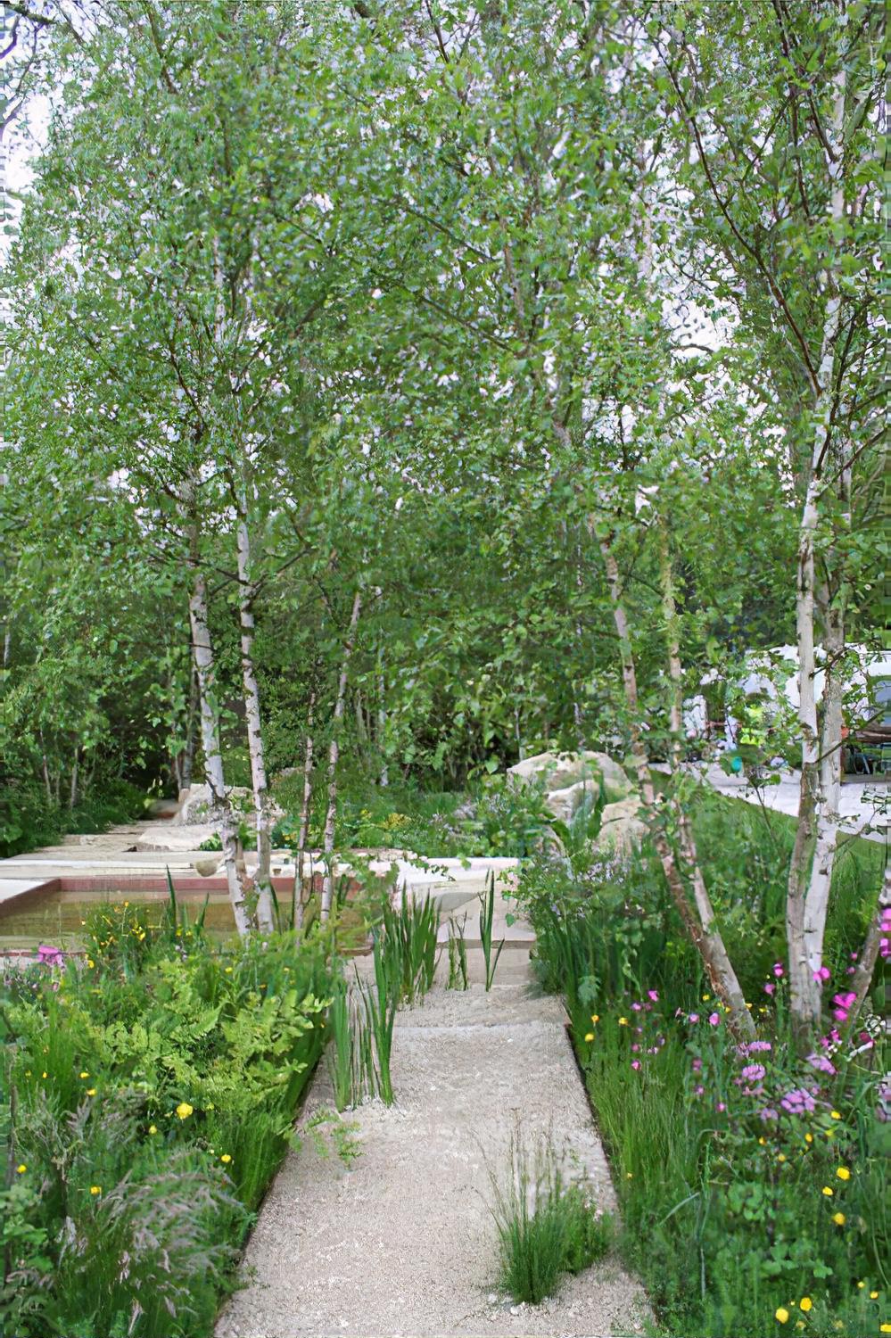 RHS Chelsea Flower Show 2012 The Daily Telegraph Garden designed by ...