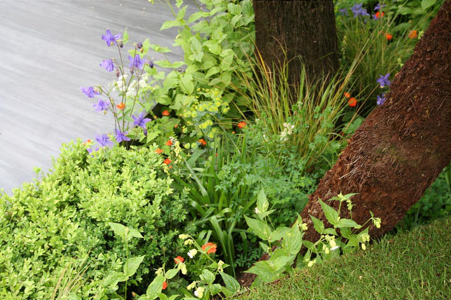 RHS Chelsea Flower Show 2012 The World Vision Garden designed by John ...