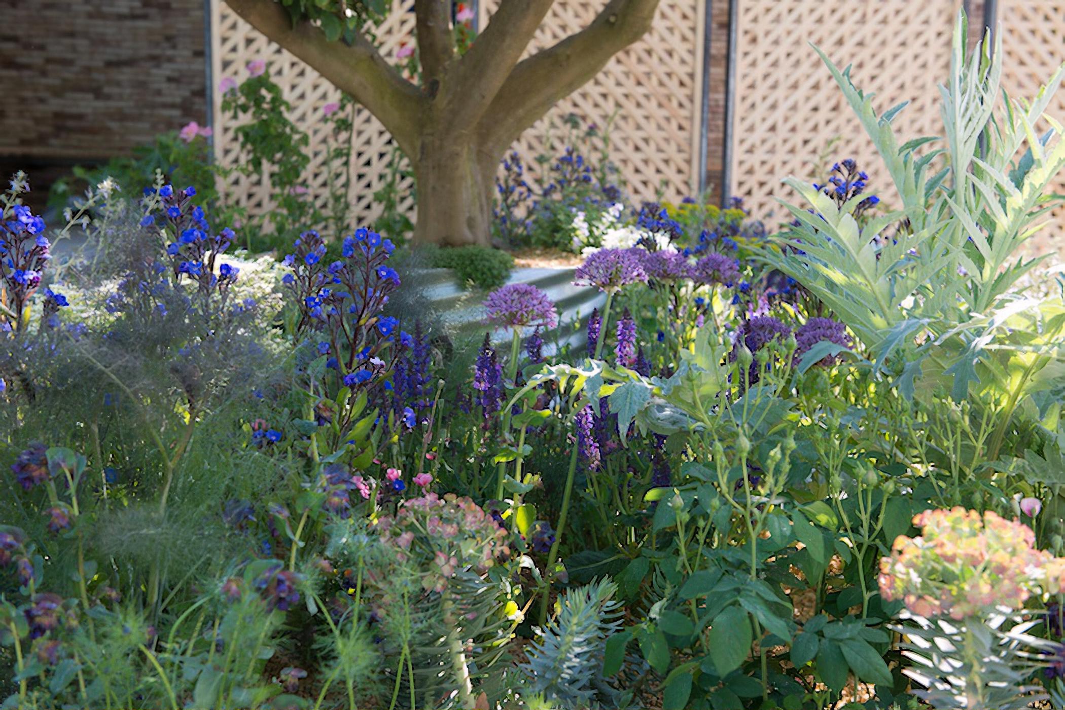 The Lemon Tree Trust Garden Chelsea Flower Show 2018 by garden designer ...