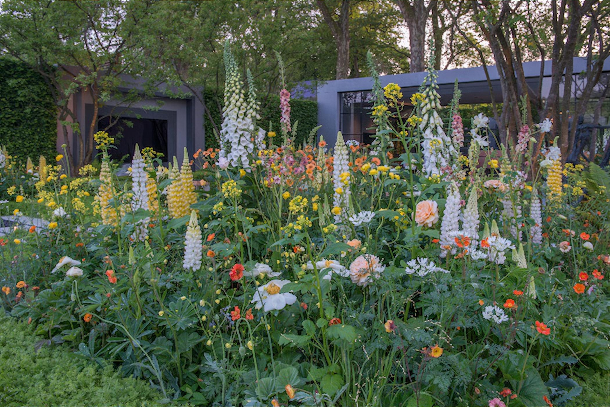 LG Eco-City Garden Chelsea Flower Show 2018 by London based landscape ...