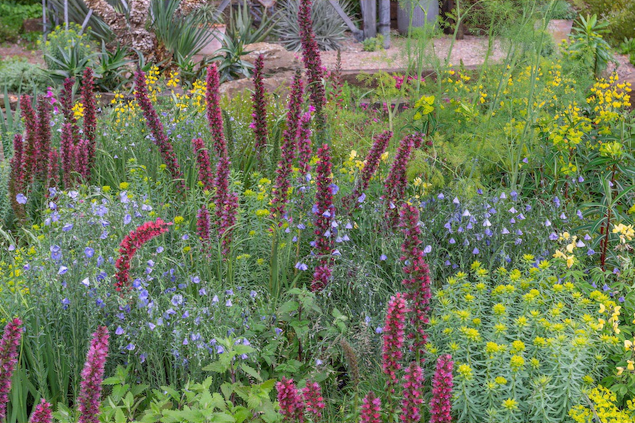 The Resilience Garden created by award-winning designer Sarah Eberle ...