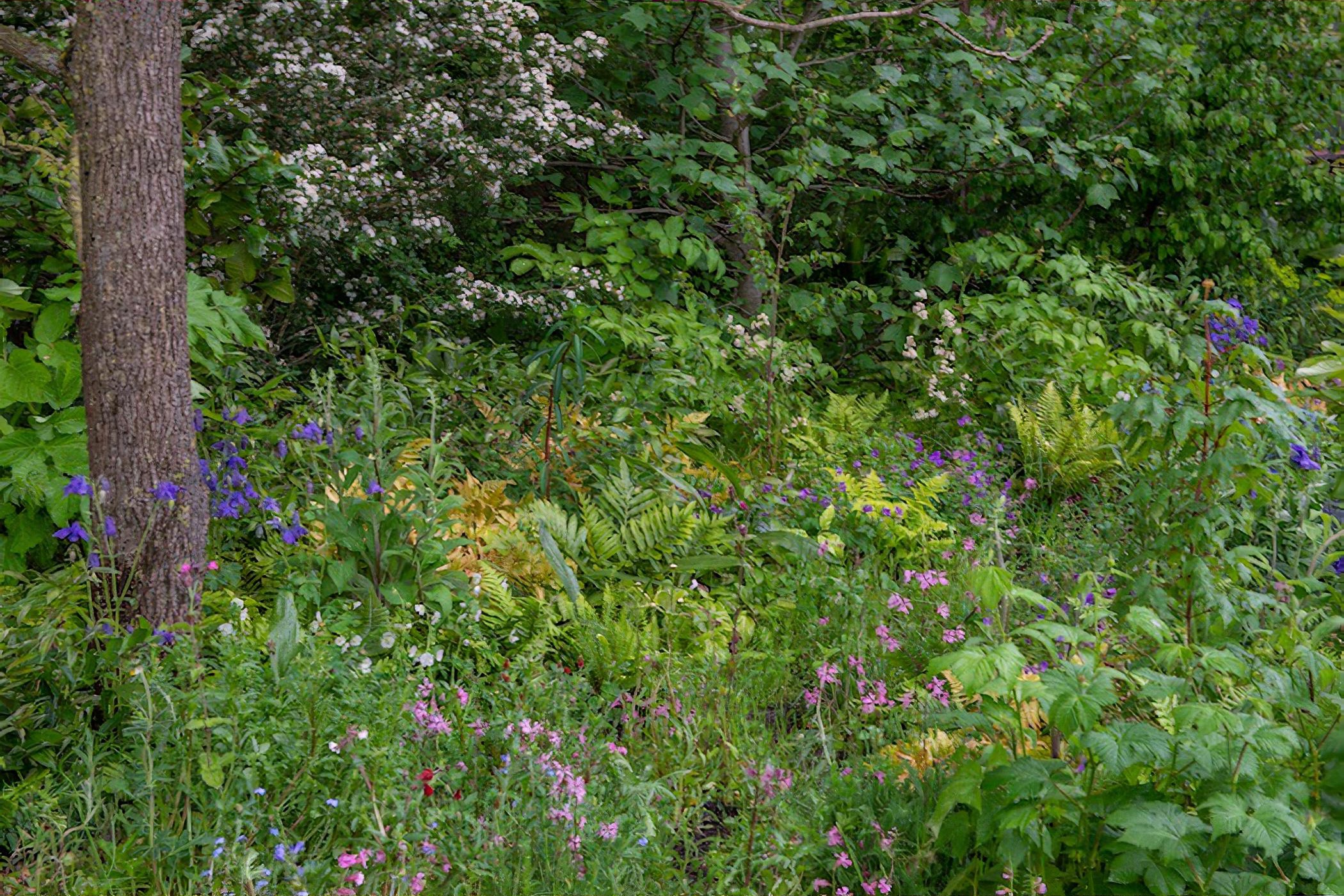 The Resilience Garden created by award-winning designer Sarah Eberle ...