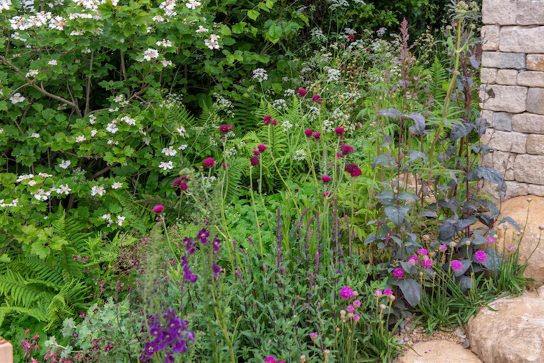 Warner’s Distillery Garden by garden designer Helen Elks-Smith Chelsea ...