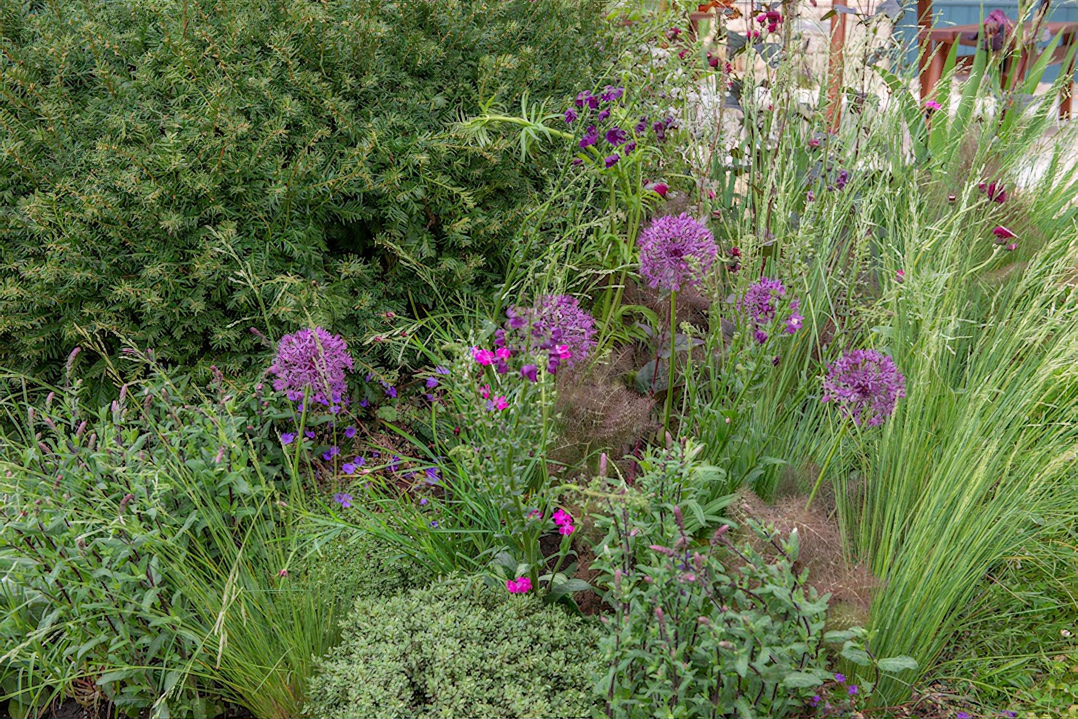 Warner’s Distillery Garden by garden designer Helen Elks-Smith Chelsea ...