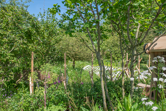 Alder Hey Urban Foraging Station Garden Chelsea Flower Show 2022 by ...