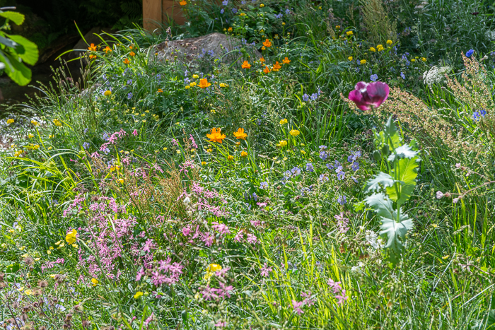 The Meta Garden: Growing the Future by garden designer Joe Perkins for ...