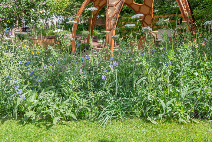 The Meta Garden: Growing the Future by garden designer Joe Perkins for ...