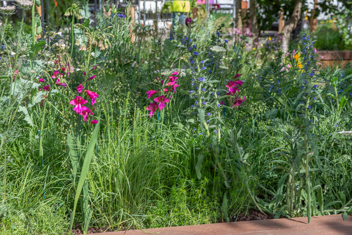 The Meta Garden: Growing the Future by garden designer Joe Perkins for ...