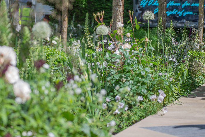 The Perennial Garden ‘With Love’ by garden designer Richard Miers for ...