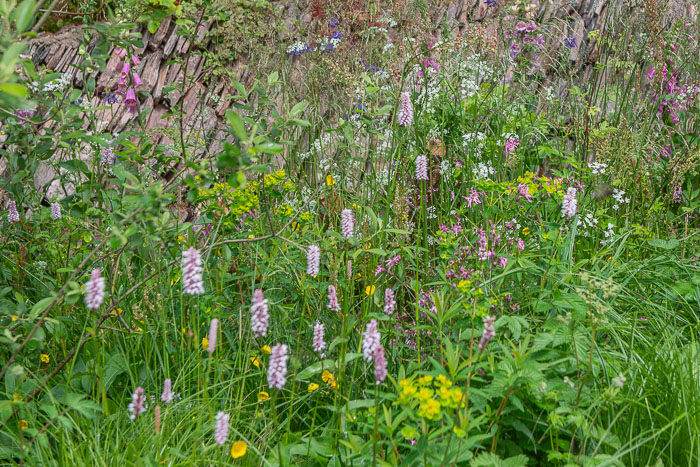 A Rewilding Britain Landscape Garden designed by garden designer Lulu ...