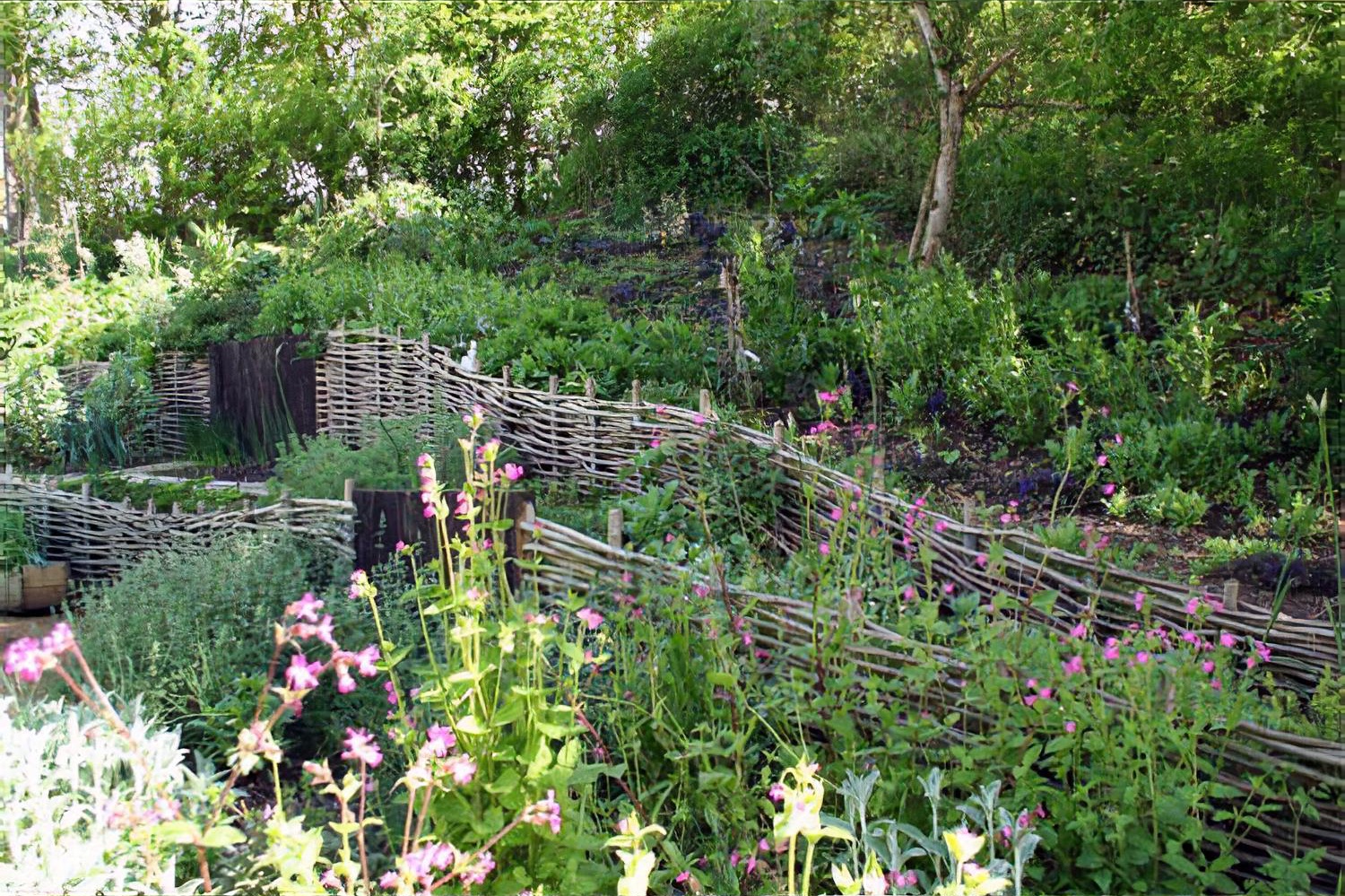 Flatford Wildlife Garden (RSPB) By garden designers Catherine ...