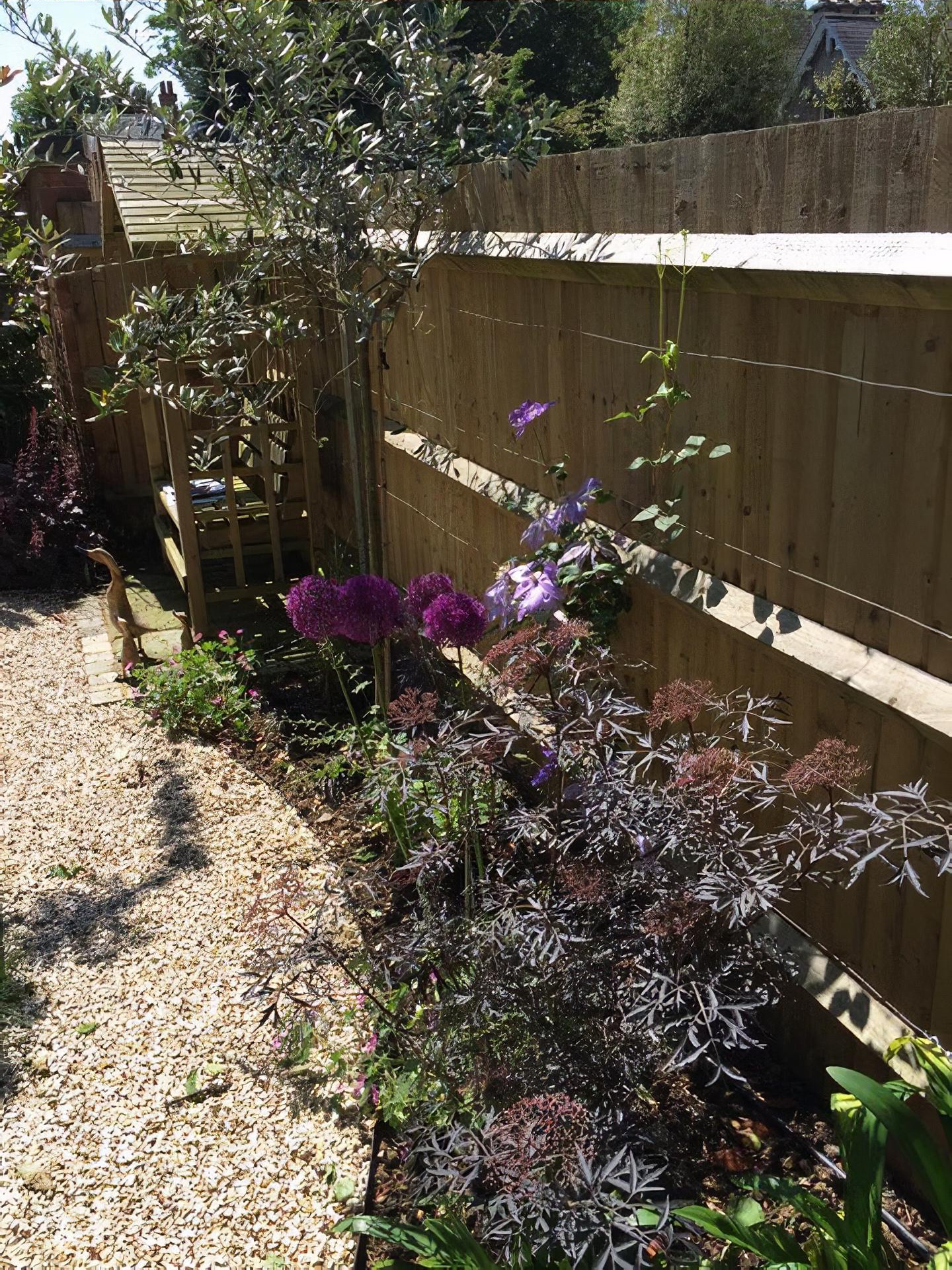 Shenley Garden Designed by Gillie Leaf Garden Design