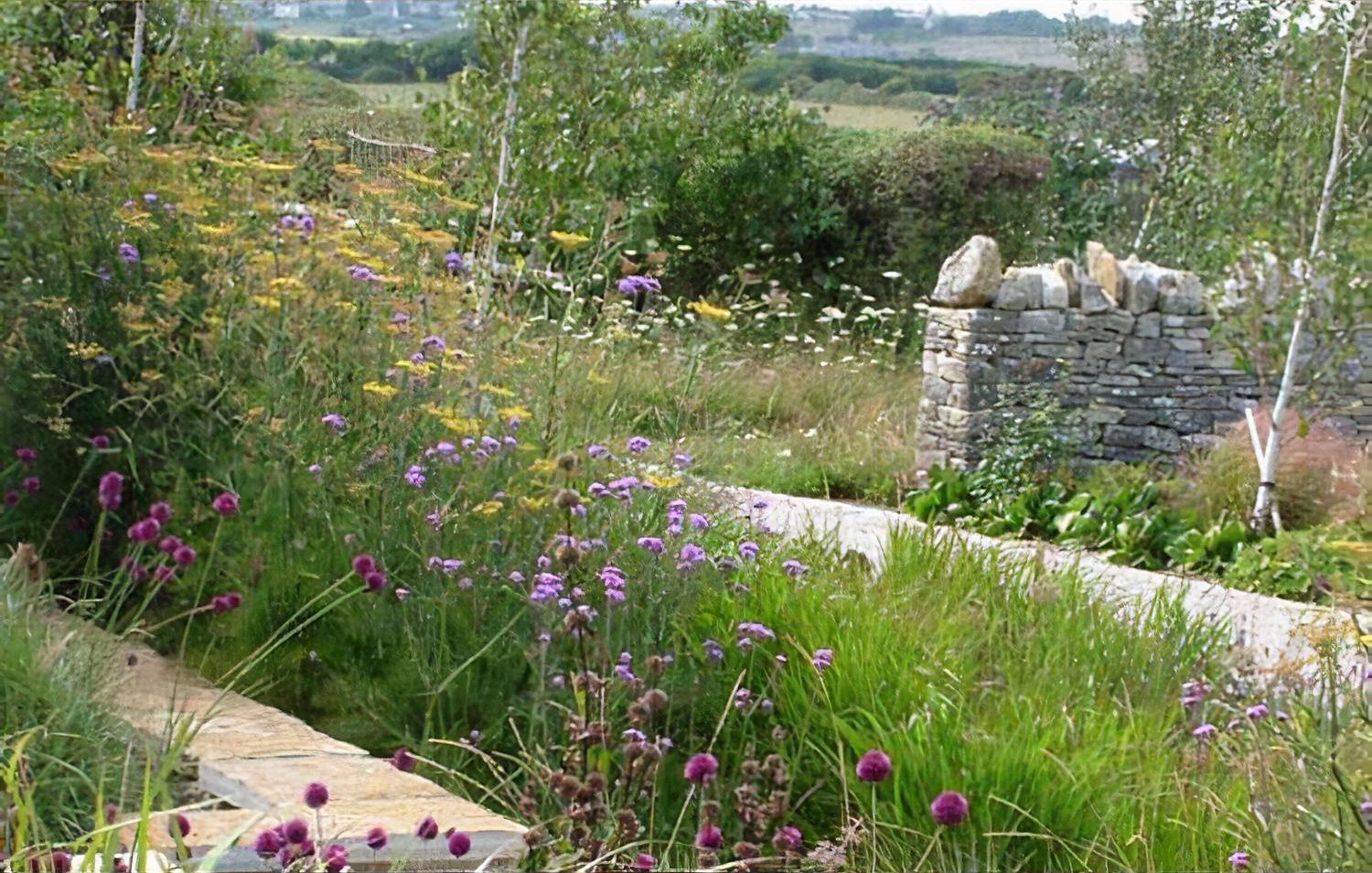 Large Contemporary Country Garden Design in Dorset by garden designer ...