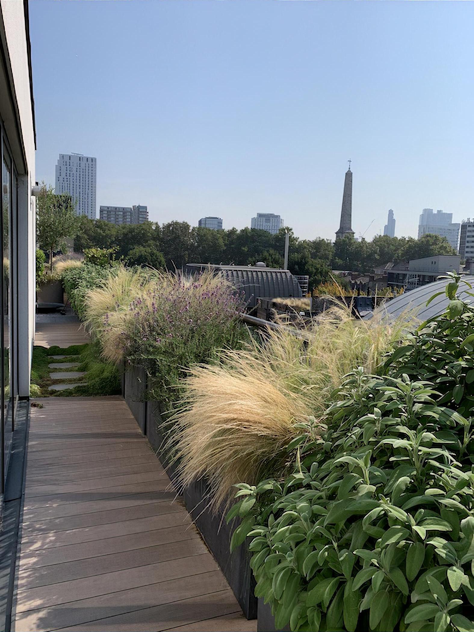 How to Design the Perfect Roof Garden by John Wyer at Bowles & Wyer