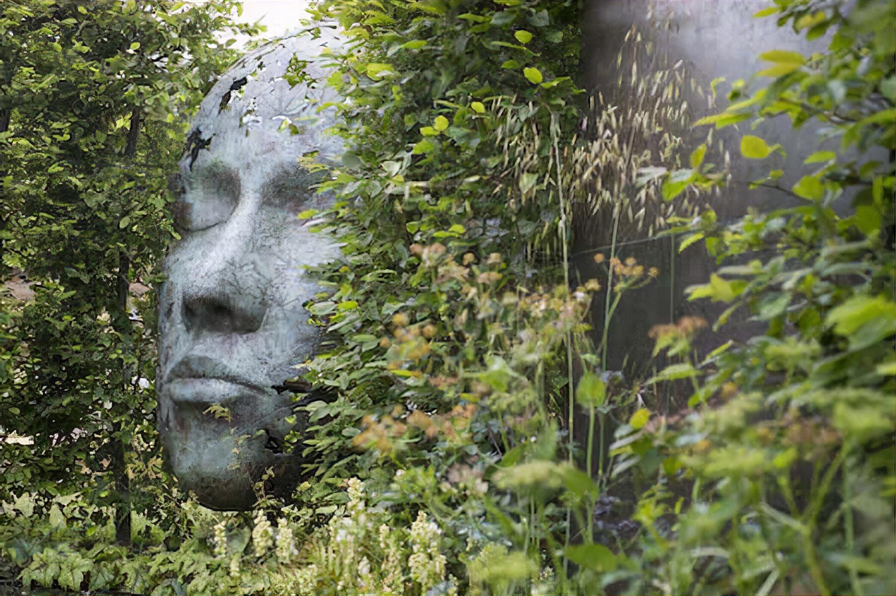 The ‘Thrive Reflective Mind’ Garden by Buckinghamshire garden designer ...