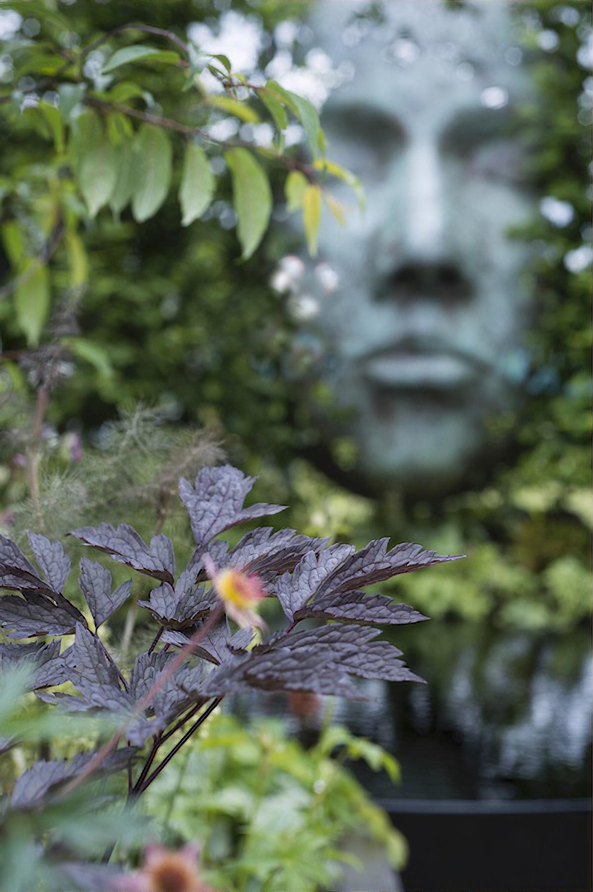 The ‘Thrive Reflective Mind’ Garden by Buckinghamshire garden designer ...