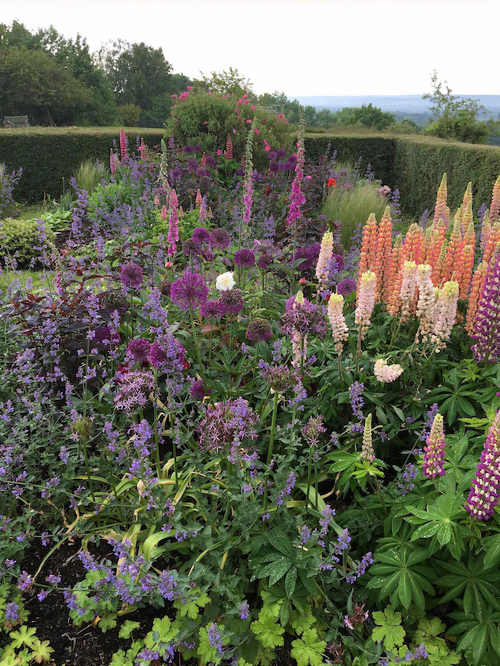 The Sundial Garden in Kent by garden designer Tara Dalton