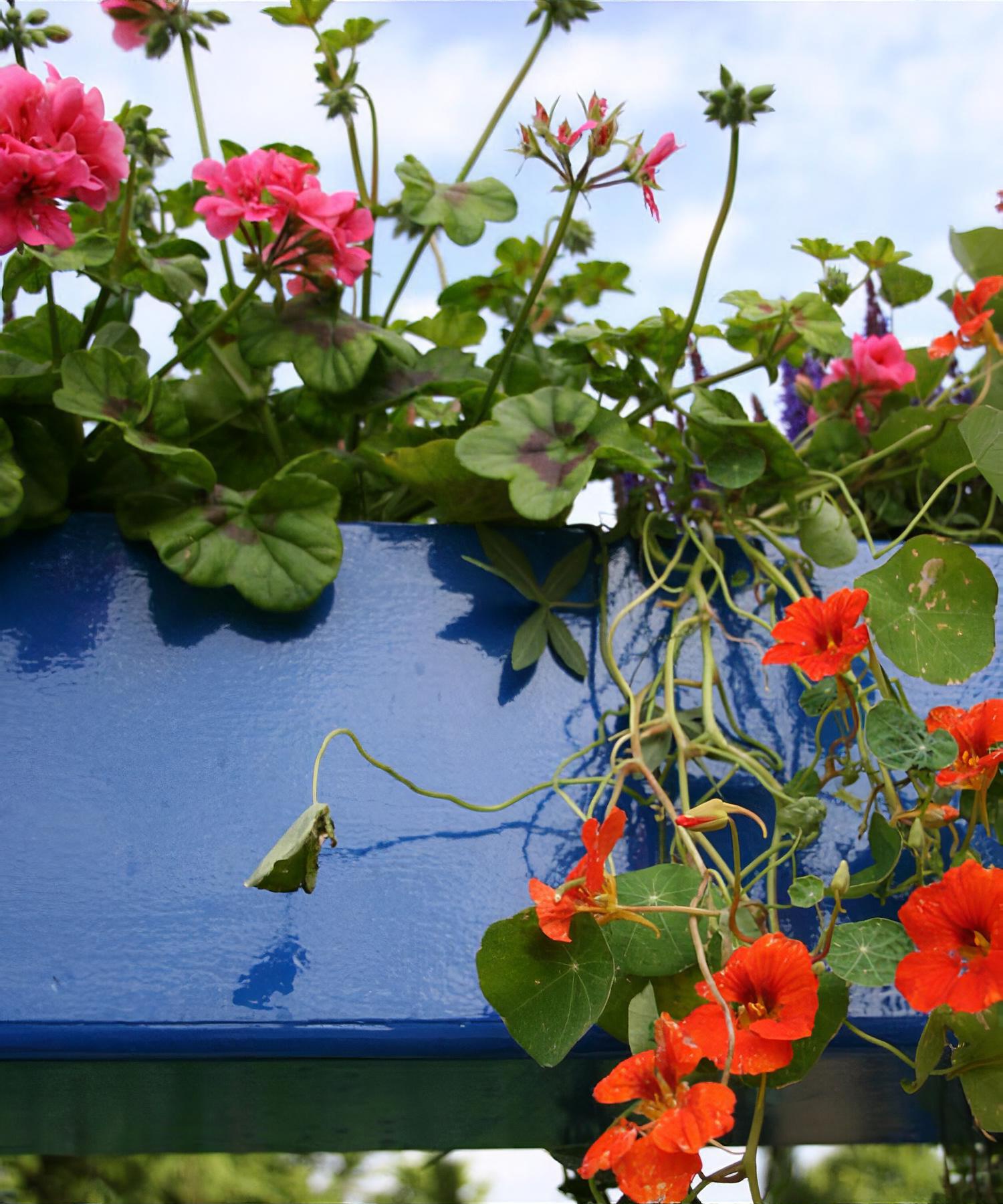 Hampton Court Flower Show 2010 The Playful Garden