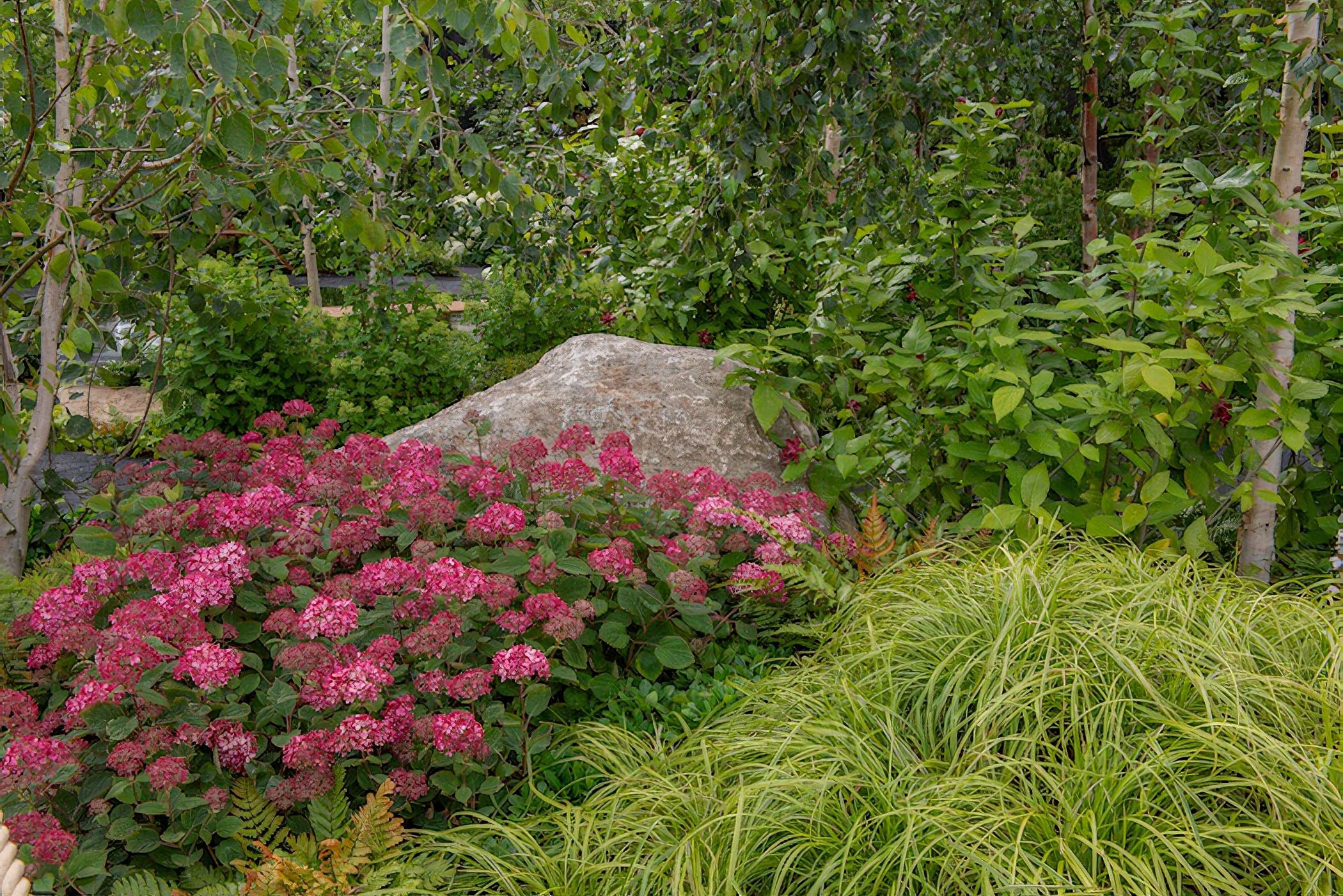 Smart Meter Garden RHS Hampton Court Flower Show 2019 by garden ...