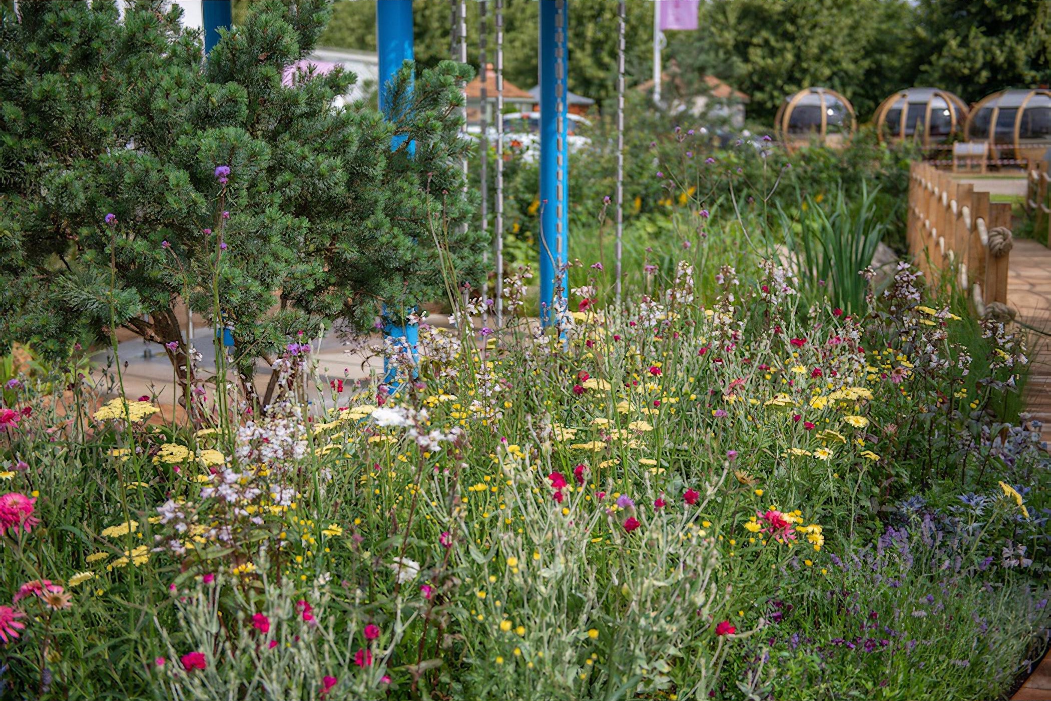 The Thames Water Flourishing Future Garden RHS Hampton Court Flower ...