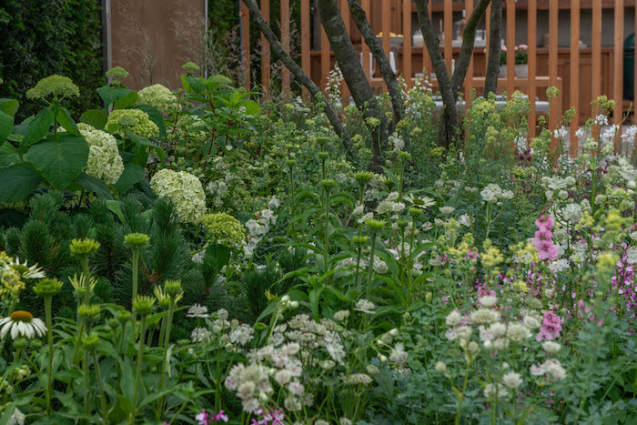 The Viking Friluftsliv Garden by garden designer Will Williams