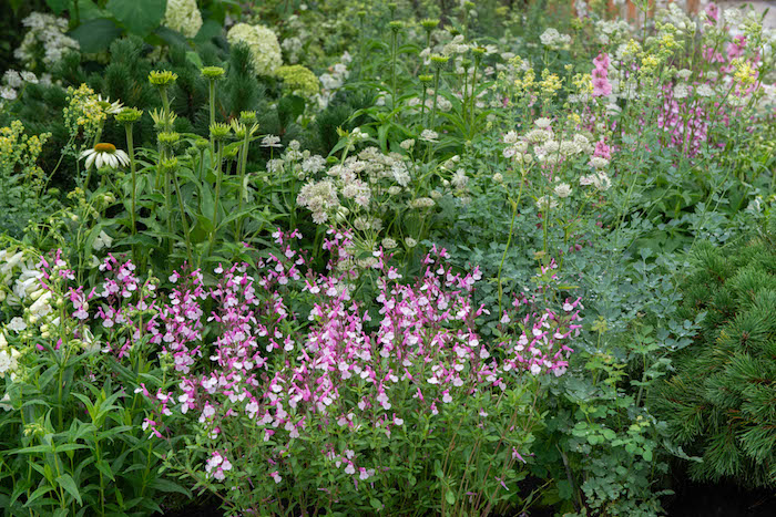 The Viking Friluftsliv Garden by garden designer Will Williams