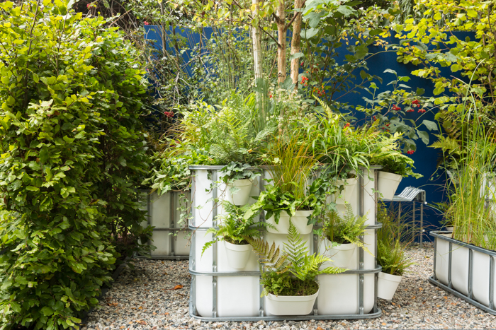 Ibc Garden | Fasci Garden