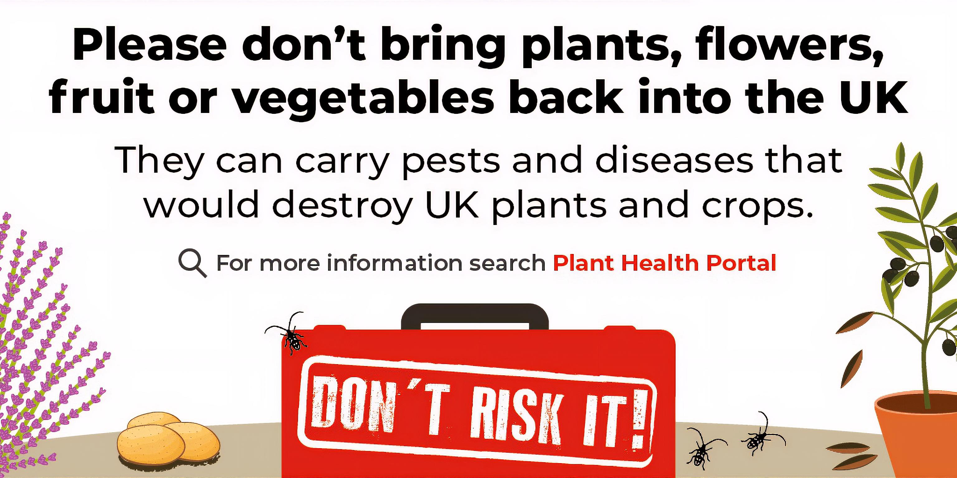 don't bring plants into the UK'