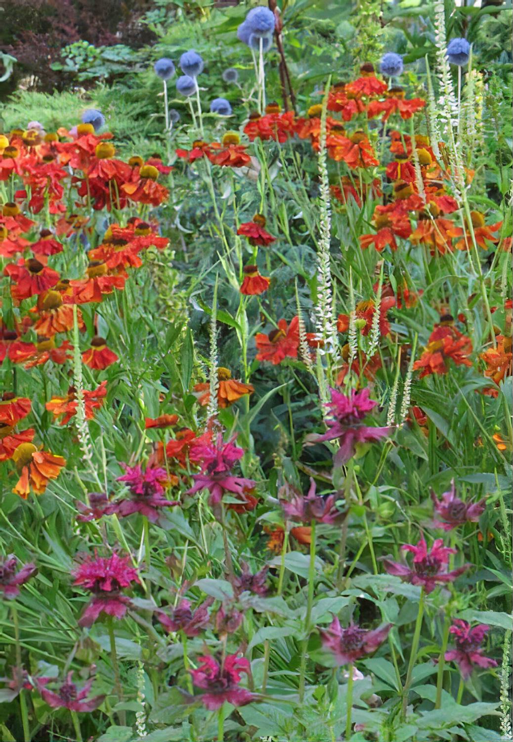 John frater (layers)